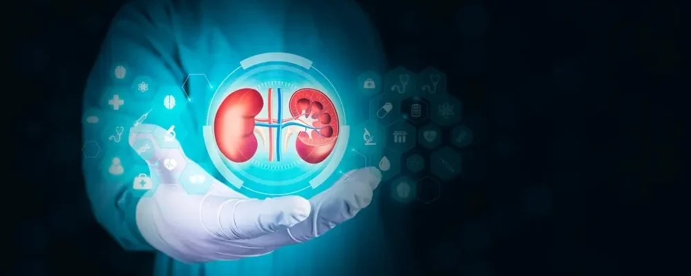 Nephrology - OneHealth Hospital